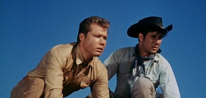 Official Robert Fuller Website